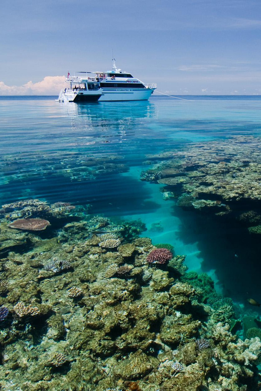 Cairns: Great Barrier Reef 3-Day Liveaboard Dive Trip | GetYourGuide