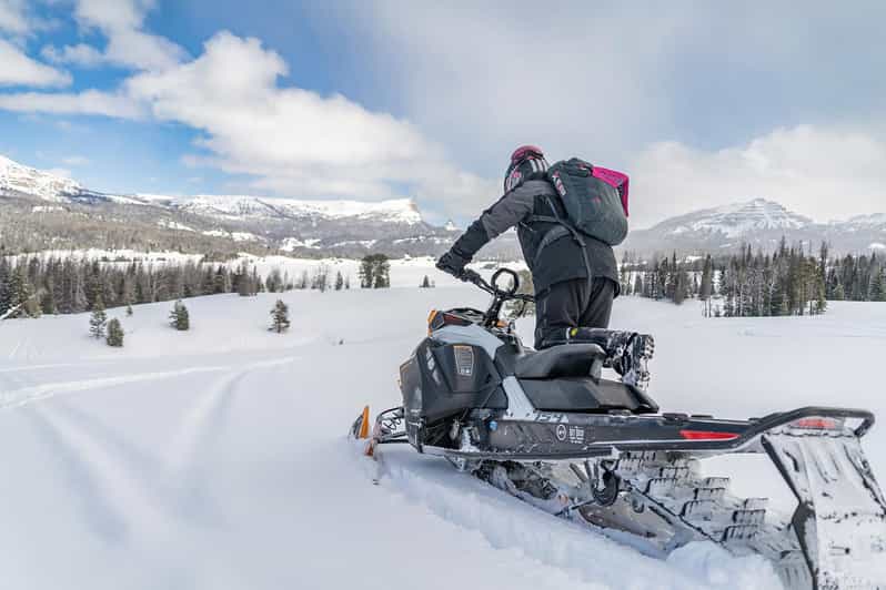 Jackson Hole: Turpin Meadow Snowmobile Tour | GetYourGuide