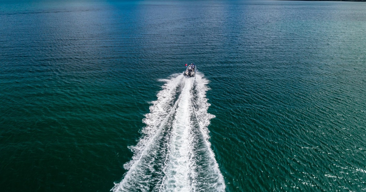 Helford: Two hour RIB Tour | GetYourGuide