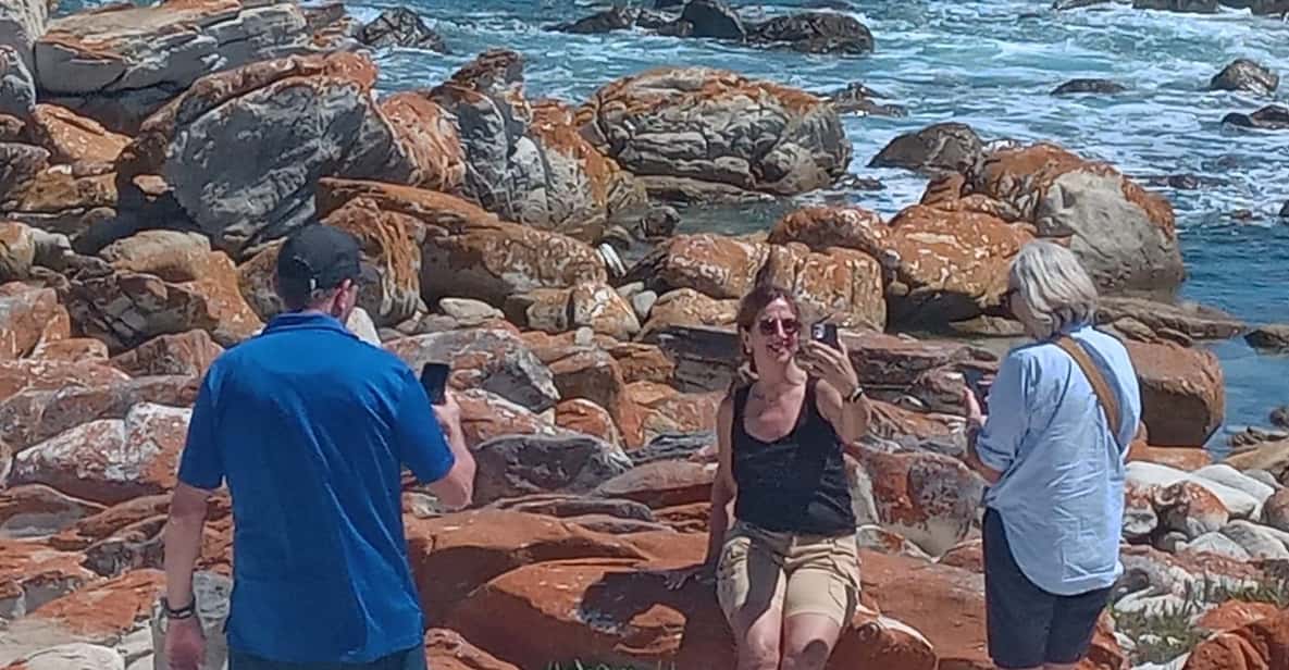 Gqeberha: City Highlights Car and Walking Tour | GetYourGuide