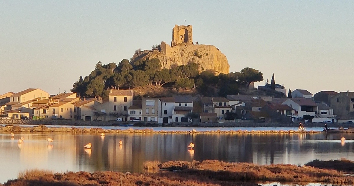 Gruissan: from the New Port to the Old Village | GetYourGuide