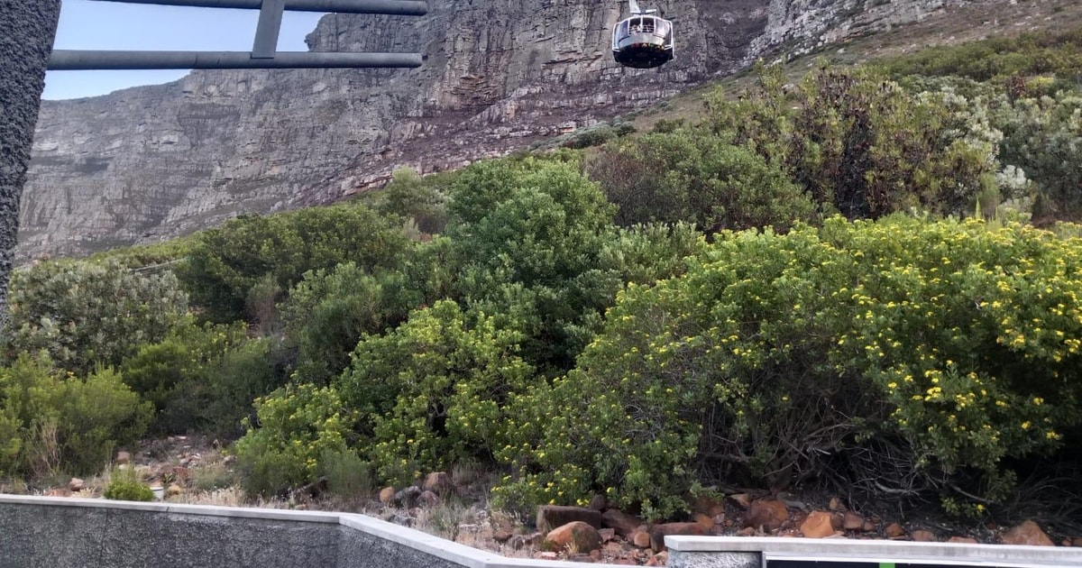 Table Mountain & Constantia Wine Tasting Full Day Tour | GetYourGuide