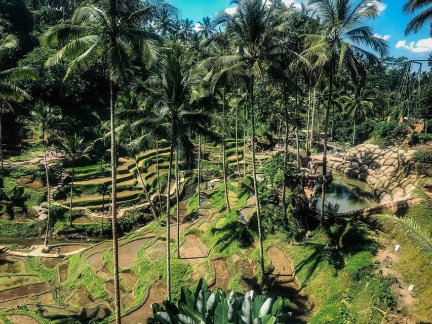 Ubud : Highlight Culture, Waterfall & Temple Day Trip | GetYourGuide