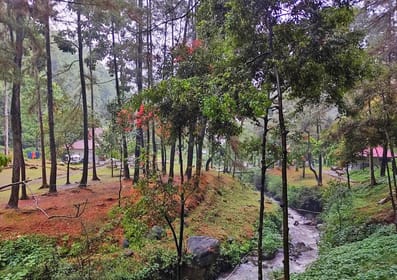 From Jakarta : Waterfall , Botanical Garden , Puppet Show | GetYourGuide