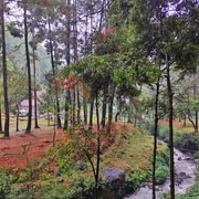 From Jakarta : Botanical Garden , Waterfall , Wayang Puppet | GetYourGuide