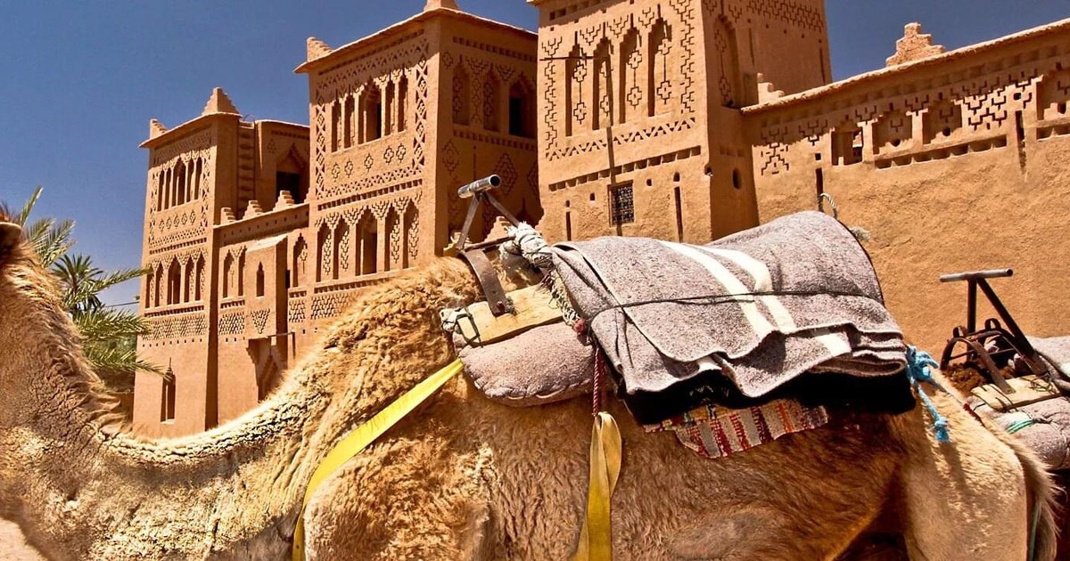 Encantador Viaje al Desierto 3 Días de Marrakech a Fez | GetYourGuide