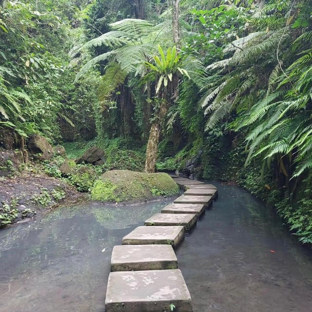 Ubud : Monkey Forest - Jungle Swing - Waterfall and Temple | GetYourGuide
