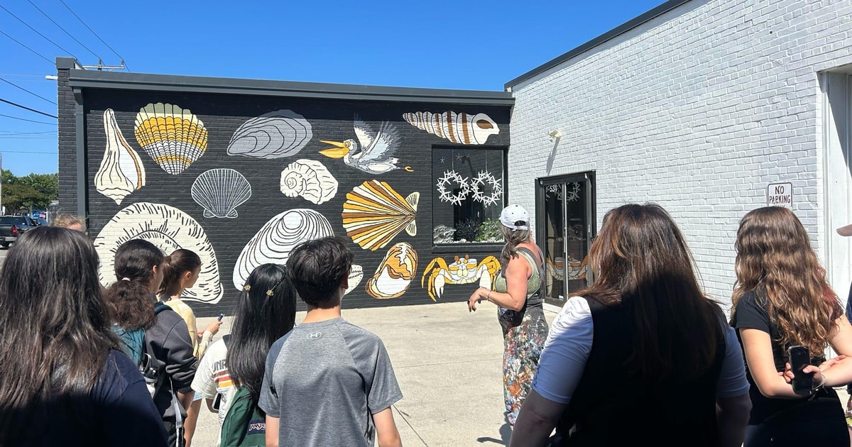 Virginia Beach: ViBe District Guided Walking Mural Tour | GetYourGuide
