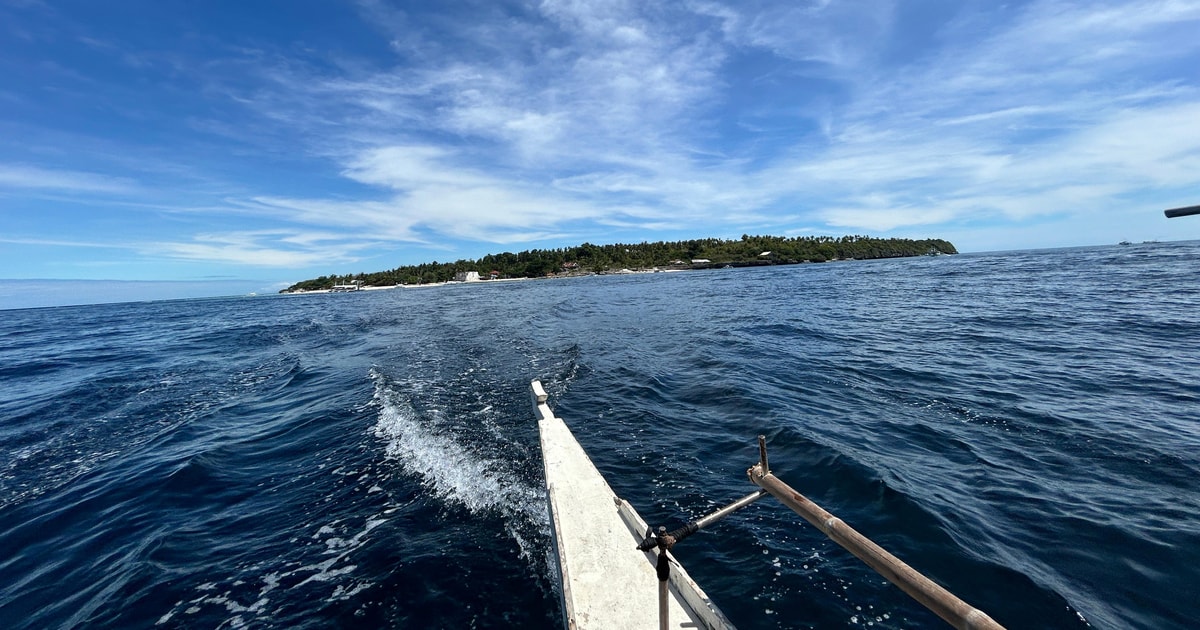 Pamilacan Insel: Delfine, Schnorcheln, Mittagessen und Rundgang ...