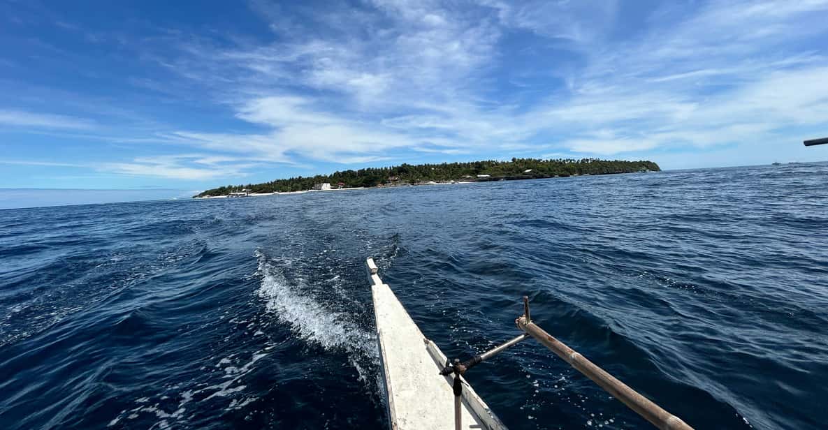 Pamilacan island: Dolphins, snorkel, lunch and walking tour | GetYourGuide