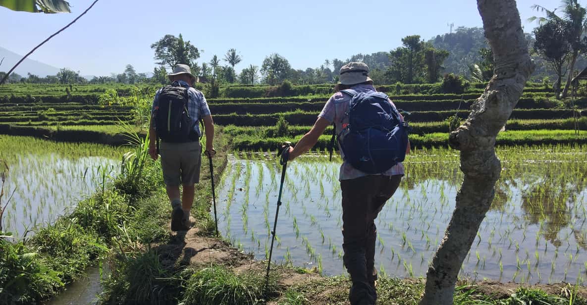 Bali: Sidemen Trekking with Besakih Temple Tour/Rafting | GetYourGuide