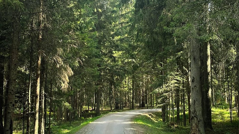 Bijambare Cave & Bosnia Spring Park: Tour from Sarajevo | GetYourGuide