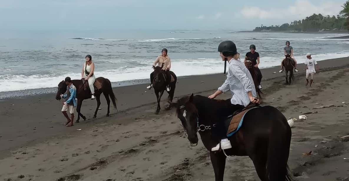 Bali: Saba Beach hesteoplevelse | GetYourGuide