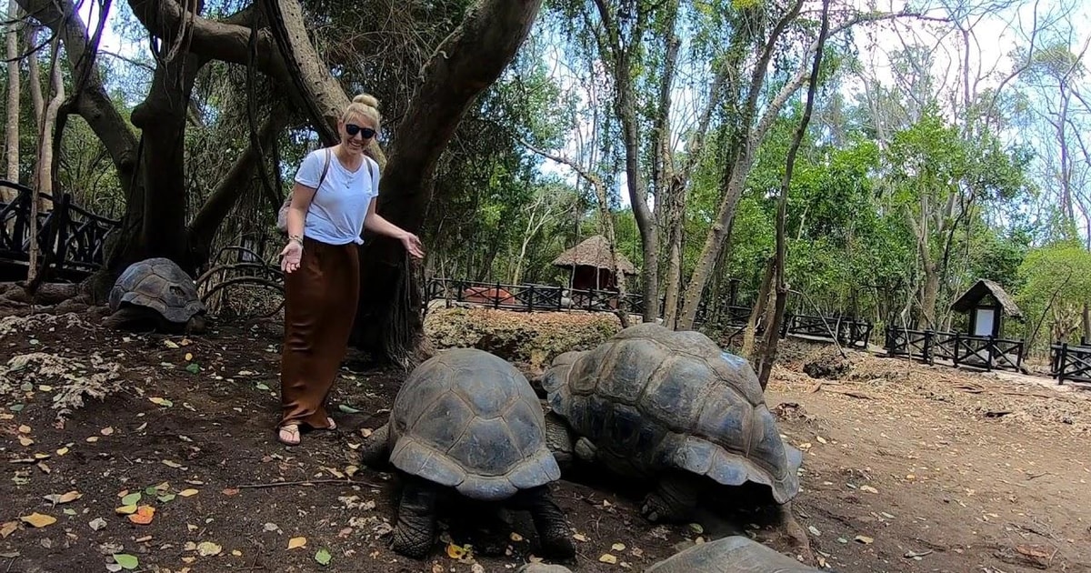 ZANZIBAR: Prison Island Private half day Tour. | GetYourGuide