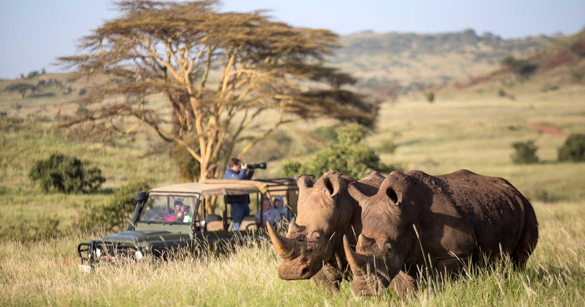 4-tägige Ol Pejeta, Aberdare, & Solio Ranch Safari mit 4x4 Jeep | GetYourGuide