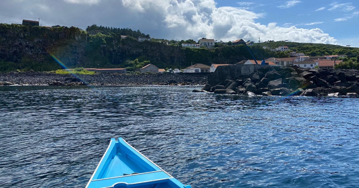 Memória Baleeira - Uforglemmelig tur i vandet ved Pico | GetYourGuide