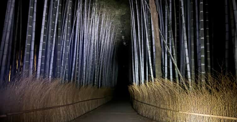 Kyoto Ghost Tour: Ghosts, Mysteries & Bamboo Forest at Night | GetYourGuide