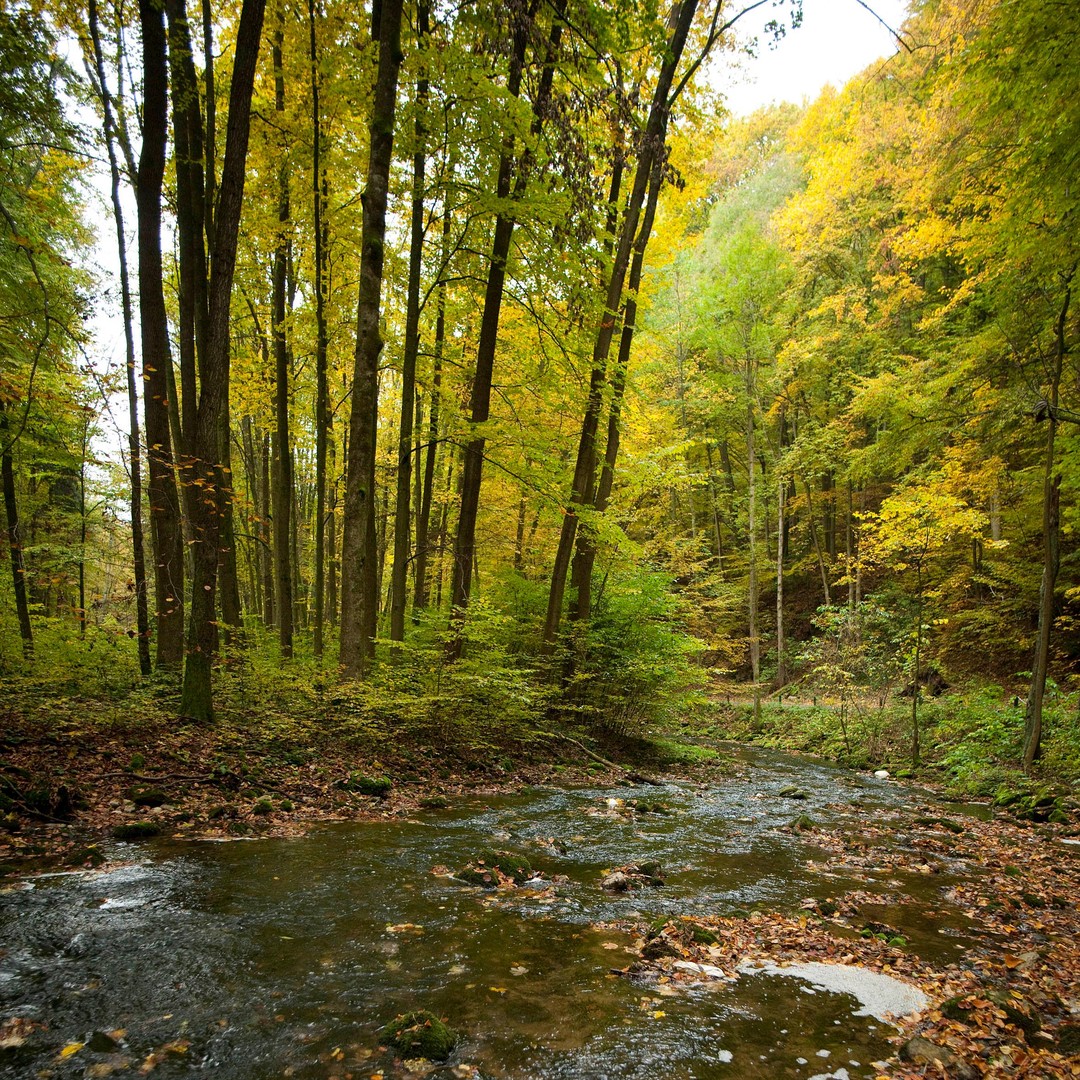 Da Brno: Abisso di Macocha e Grotte di Punkva Tour facile e tour ...