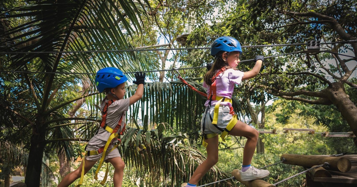 Pennant Hills: Junior Tree Ropes Course | GetYourGuide