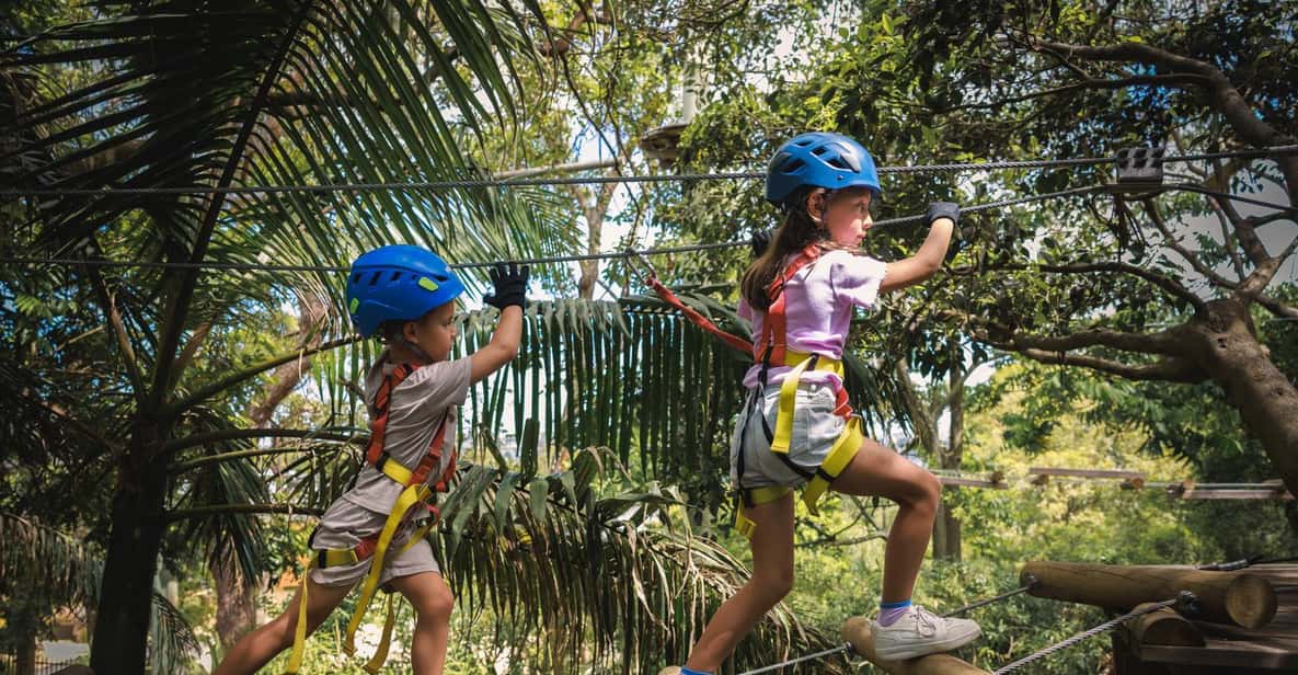 Canberra: Majura Pines Junior Tree Ropes Course | GetYourGuide