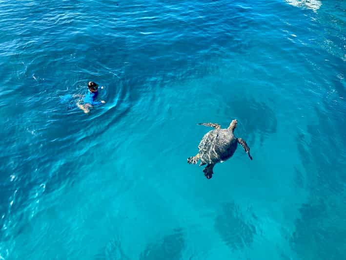 Turtle Canyon, Honolulu - Book Tickets & Tours | GetYourGuide