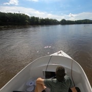 Costa Rica Mangrove Tour: Terraba National Wetlands - Uvita | GetYourGuide