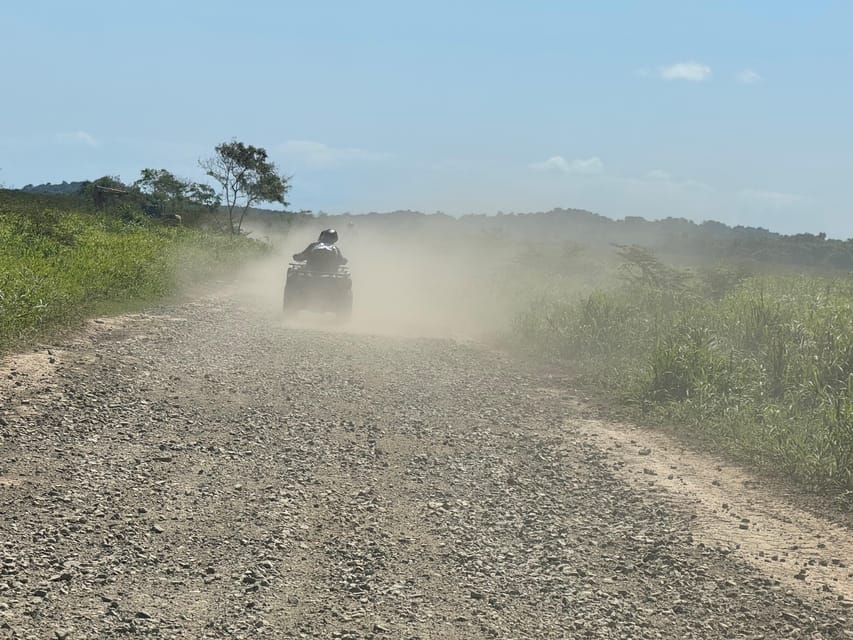 Puerto Rico: Hacienda Campo Rico ATV Experience with Pickup | GetYourGuide