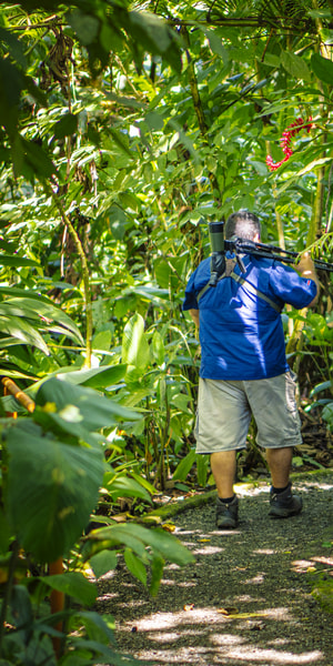 La Fortuna: Sloth Tour in Arenal Volcano Park & Local Snack | GetYourGuide