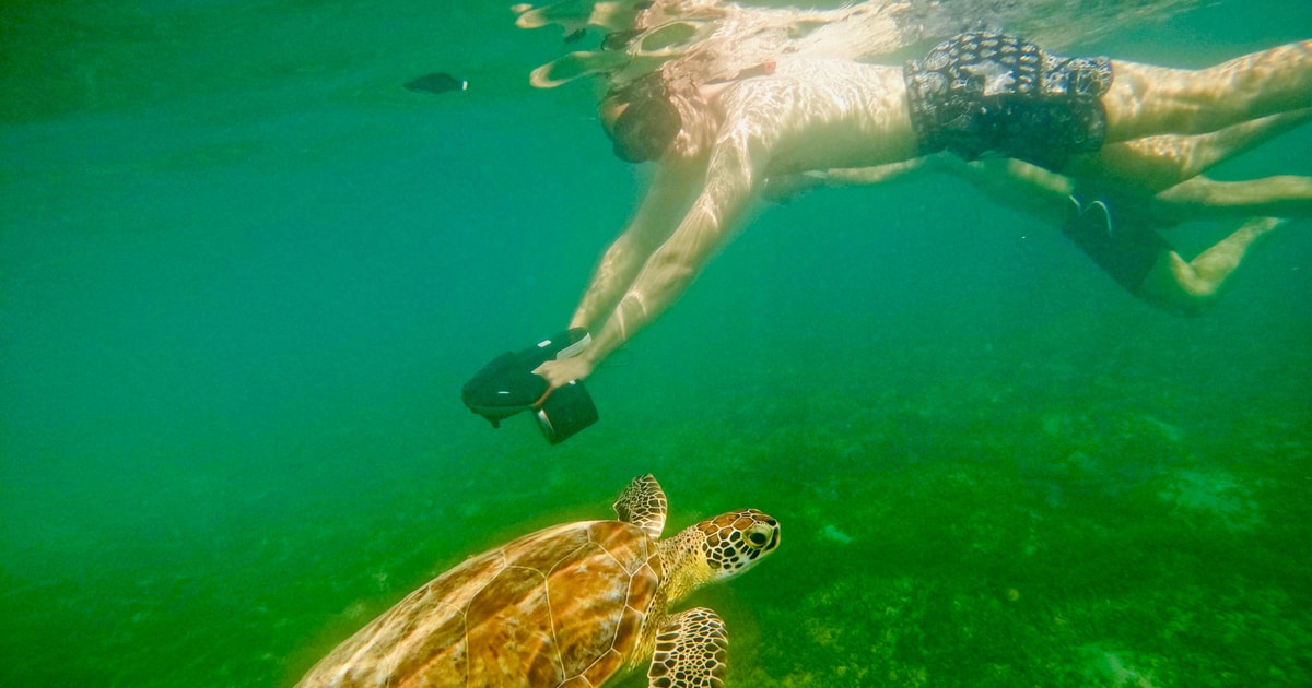 San Juan: Jet Snorkeling with Turtles | GetYourGuide