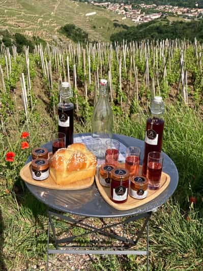 DUO PARENTS CHILDREN WINE CÔTE-RÔTIE TOUR VISIT | GetYourGuide