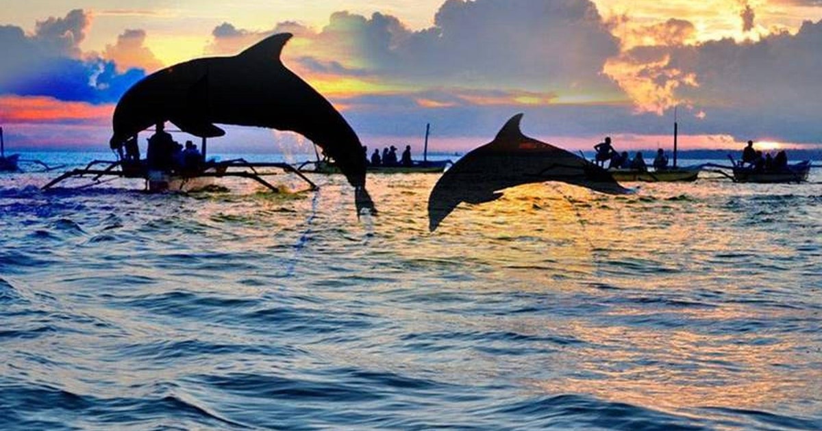 Dolphin Watching with Aling-Aling Waterfall & Bratan Temple | GetYourGuide