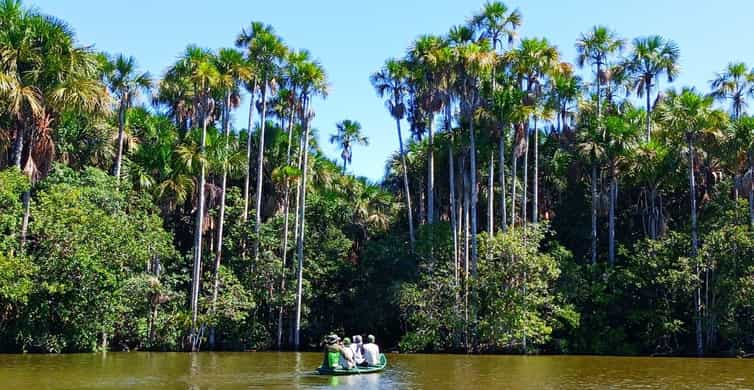Tambopata: Tour of Monkey Island and Lake Sandoval 3-Days | GetYourGuide