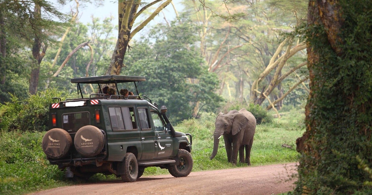 Arusza: 3-dniowe safari w Tarangire, Ngorongoro i nad jeziorem Manyara ...