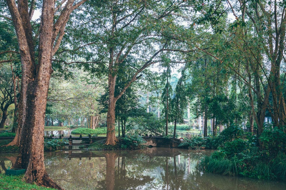 Colombo: All Inclusive Sigiriya & National Park Day Safari | GetYourGuide