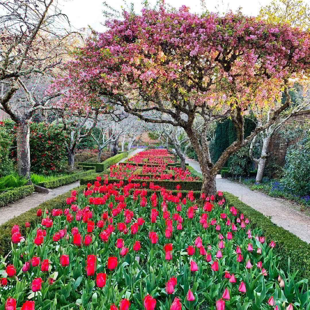 Woodside: Filoli Historic House and Garden Entry Ticket | GetYourGuide