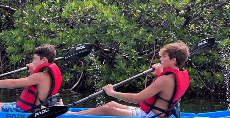 Miami: Virginia Key'de Kürek Tahtası veya Kayık Kiralama | GetYourGuide