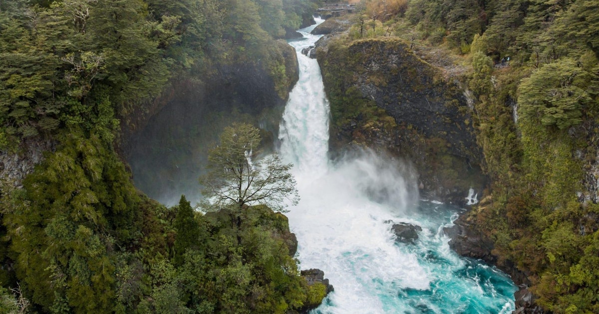 Pucon: Private Full-Day Huilo Huilo | GetYourGuide