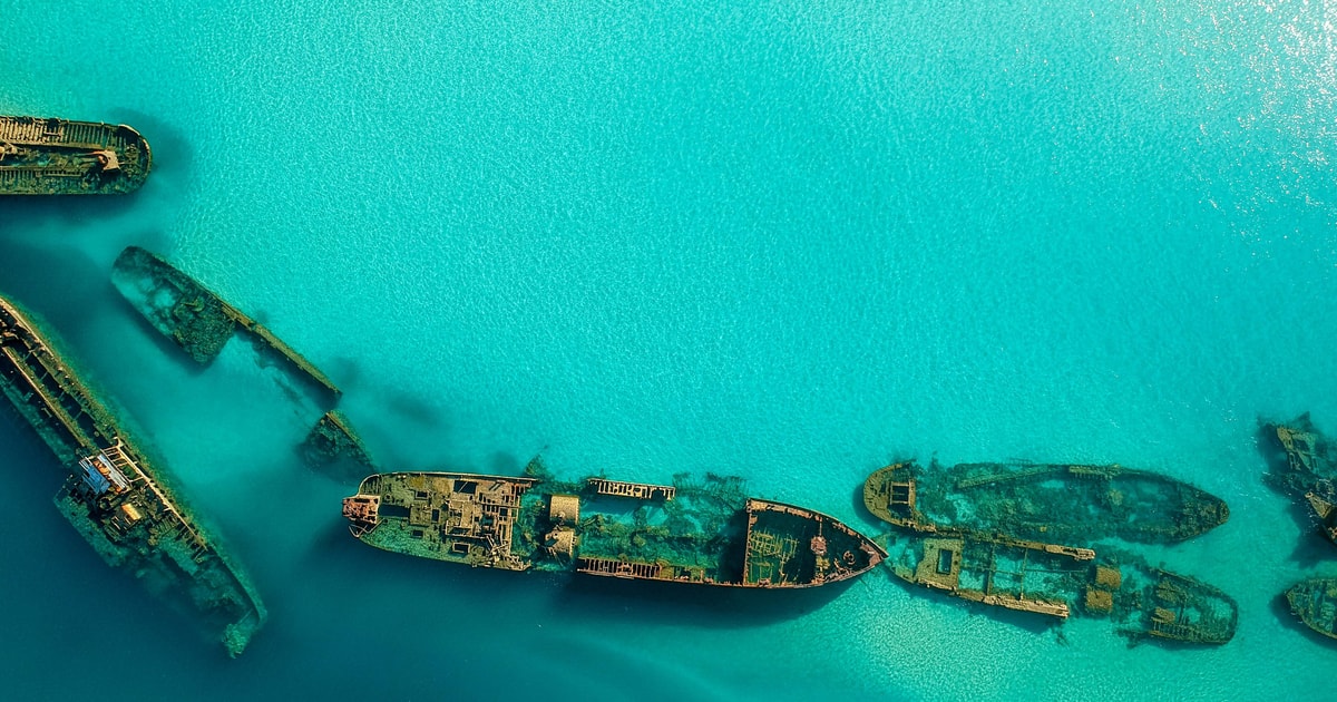 Moreton Island Eco Marine Safari Cruise and Snorkel | GetYourGuide