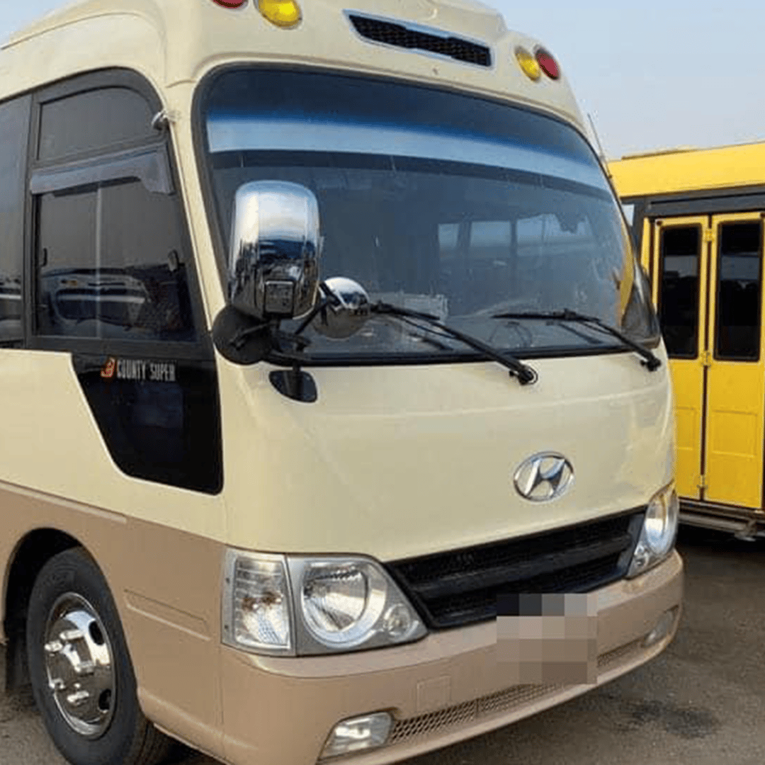 Ulaanbaatar: Airport Transfer Taxi Shuttle Pick Up | GetYourGuide