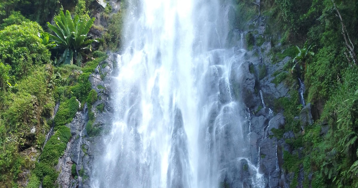Arusha/Moshi: cascada, tour del café y vino de plátano | GetYourGuide