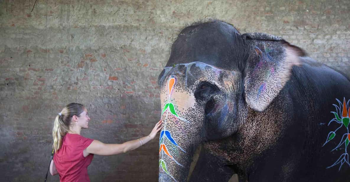 Z Dillí: Taj Mahal Sunrise Tour w/ Elephant Conservation | GetYourGuide