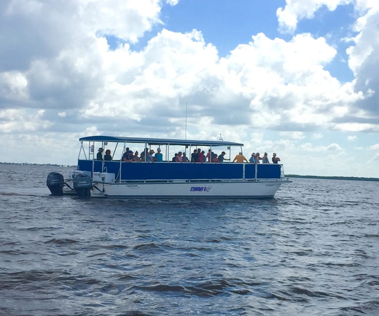 Flamingo Marina: Backcountry Boat Tour of the Everglades | GetYourGuide