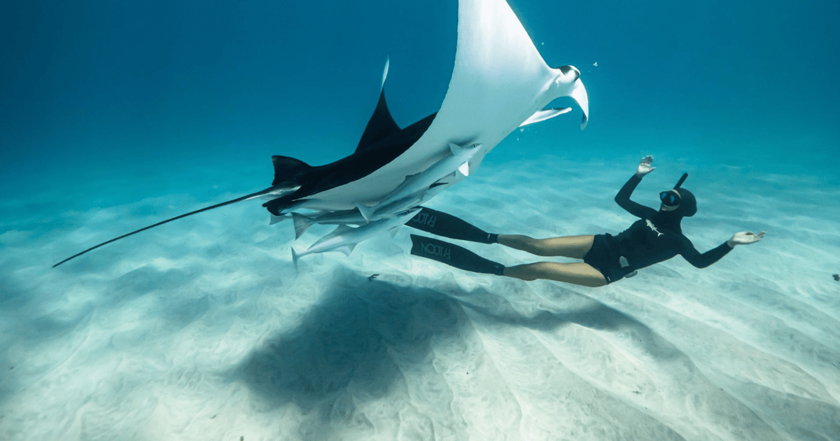 Nusa Penida Island: Manta Point Snorkeling & West Coast Tour | GetYourGuide