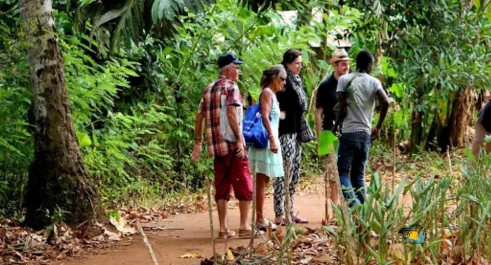 Zanzíbar: Visita guiada a la Granja de Especias con clase de Cocina ...