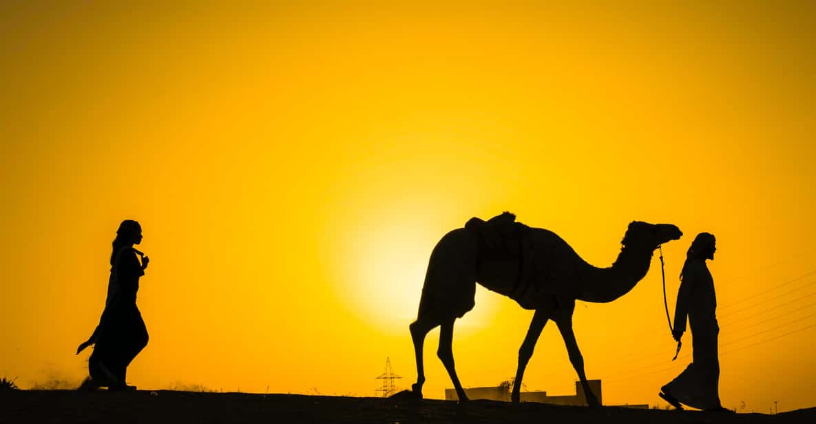 Marrakech Dîner coucher du soleil camel ride désert d'Agafay | GetYourGuide