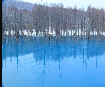 The BEST Things to Do in Furano - Top Activities in 2024 | GetYourGuide