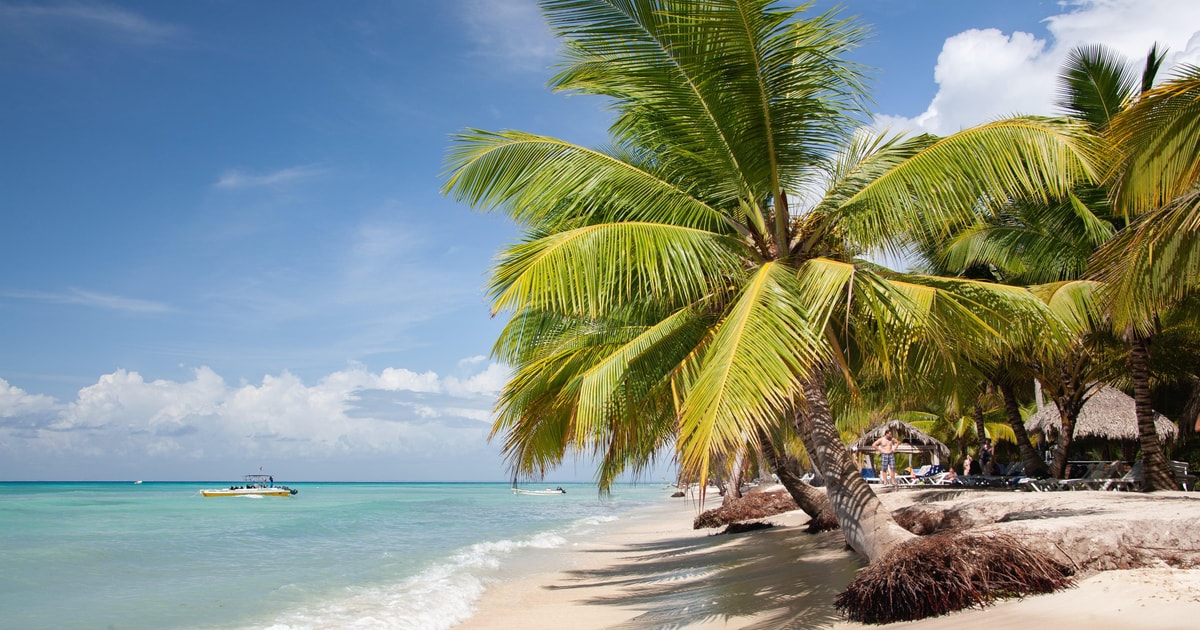 Desde Bayahibe: tour a Isla Saona en Catamarán con barra libre y buffet ...