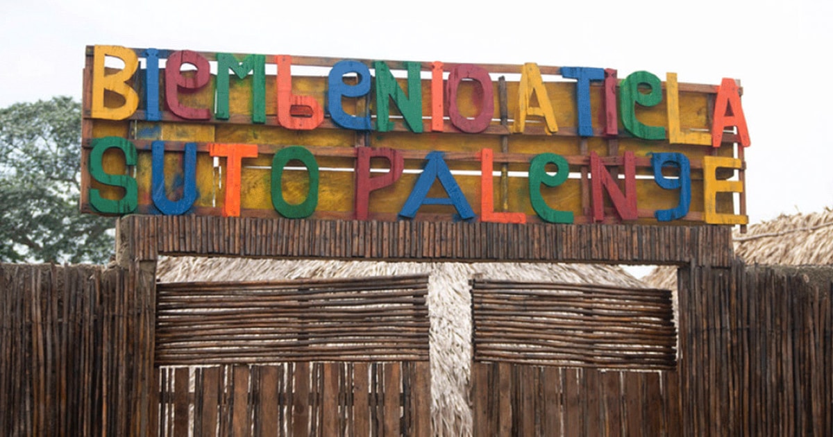 Palenque: El Legado Vivo de la Libertad y la Tradición | GetYourGuide