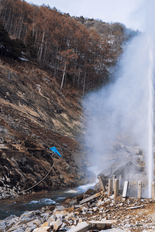 Nagano/Myoko: Jigokudani Snow Monkey Park mit Privatfahrzeug | GetYourGuide