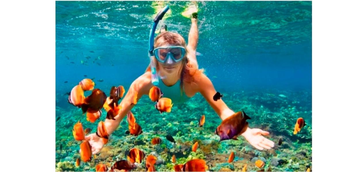 Sosua Snorkeling & Beach Relaxation Tour | GetYourGuide